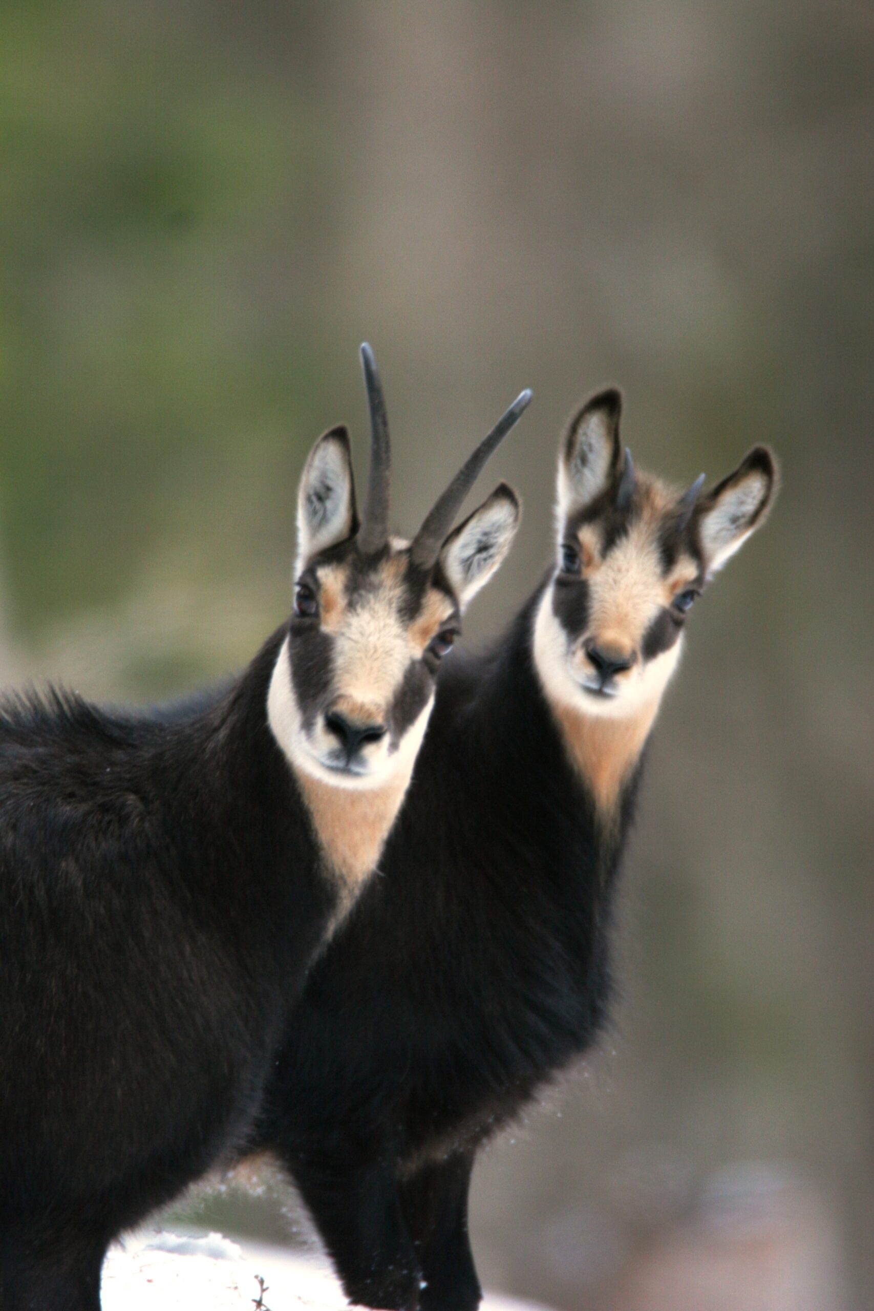 Projekt.Box – Schafft Inhalt